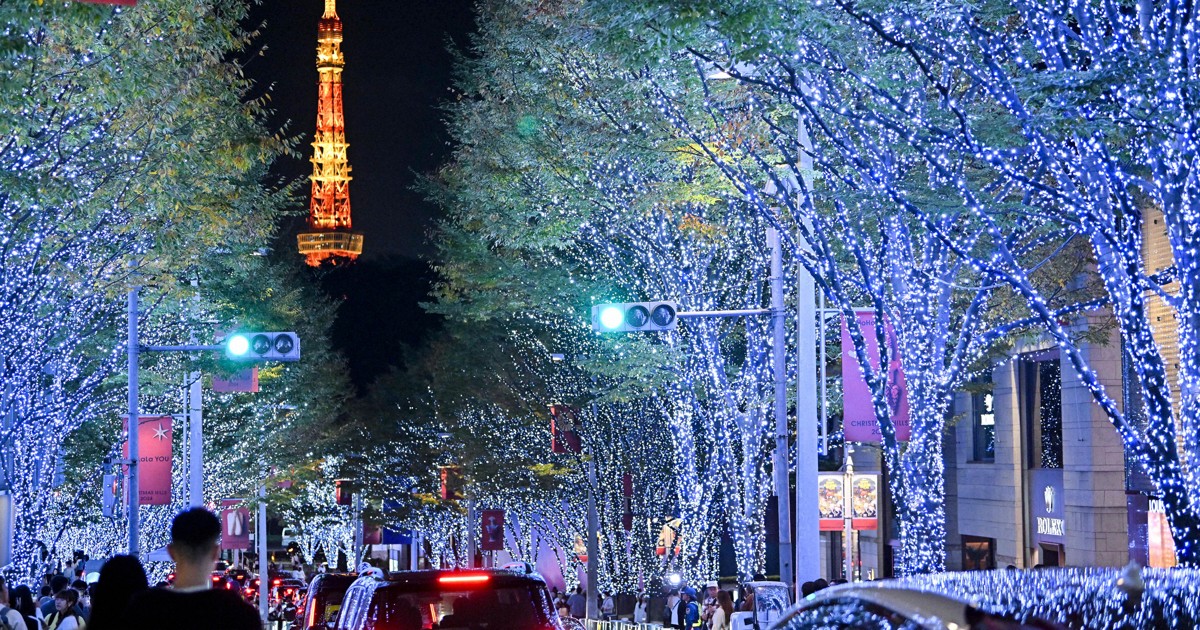 Easy Japanese news in translation: 800,000 LEDs light up avenue near ...