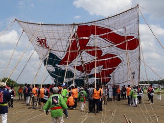 Researchers float idea of huge kites over sea to lessen impact of ...