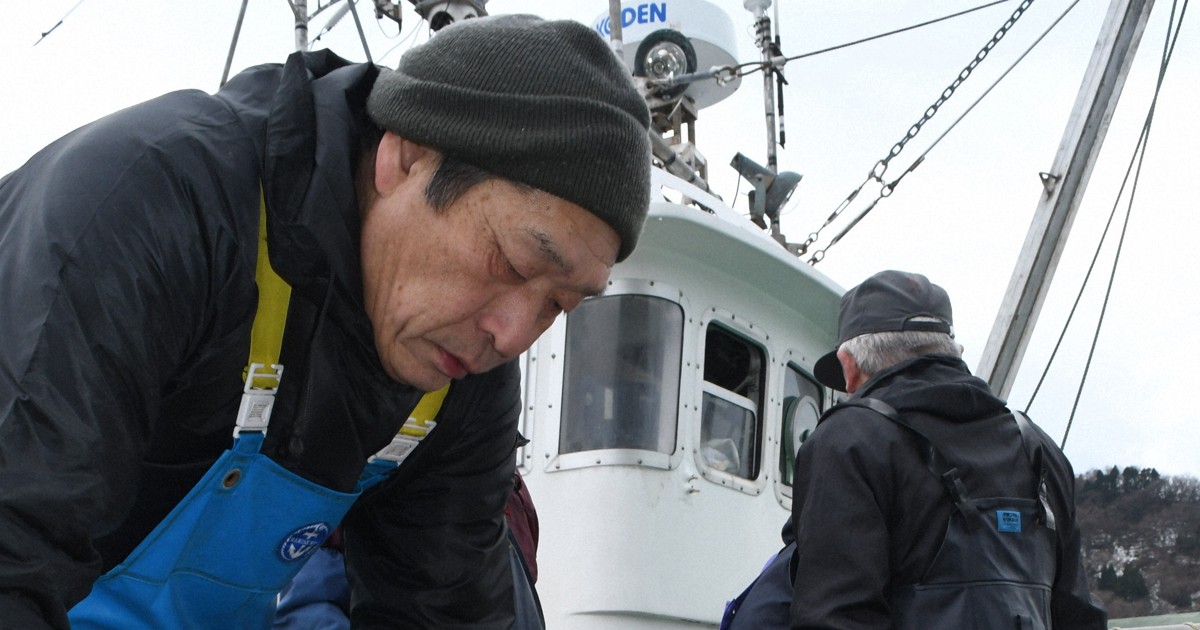 Winter delicacy 'kandara' cod fishing in full swing off north Japan's ...