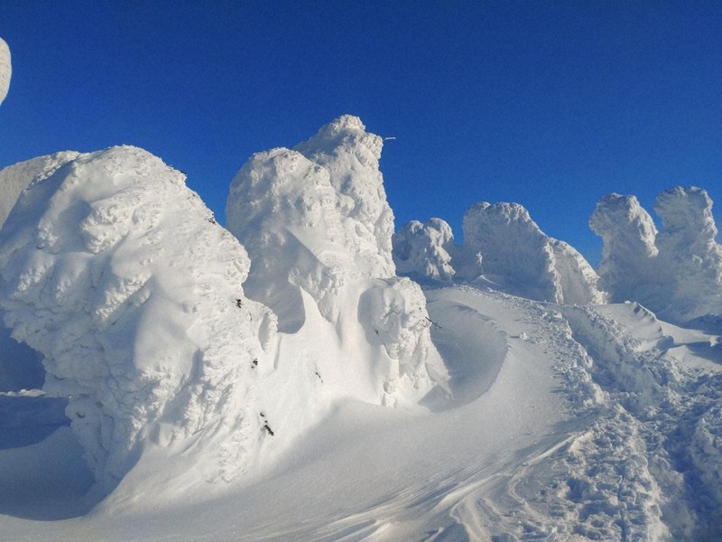 In Photos: 'Snow monster' trees at their best in north Japan's Hakkoda ...