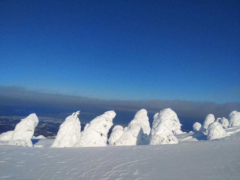 In Photos: 'Snow monster' trees at their best in north Japan's Hakkoda ...