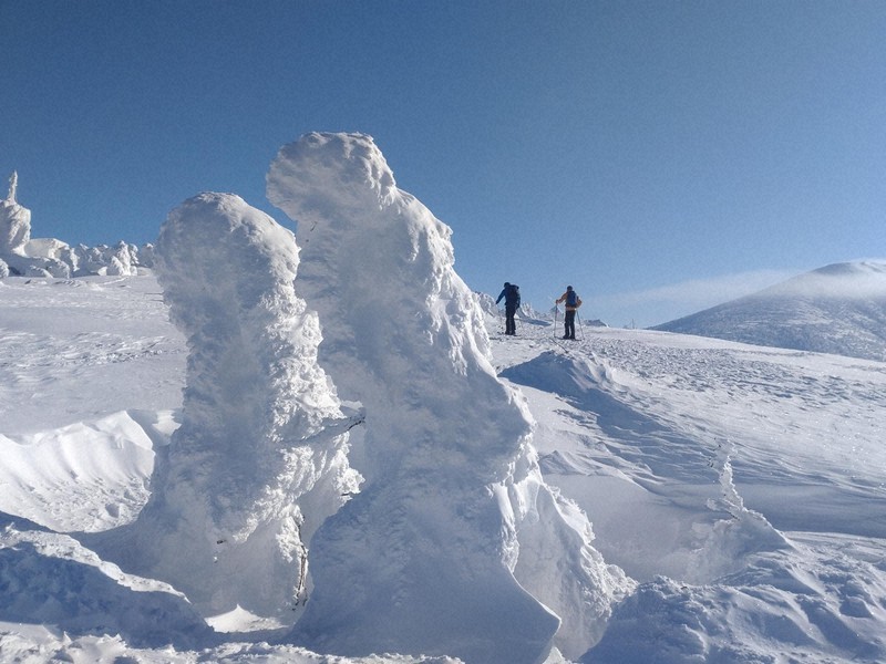 In Photos: 'Snow monster' trees at their best in north Japan's Hakkoda ...