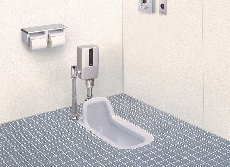 'Those still exist'? Squat toilets declining in Japan, but demand ...