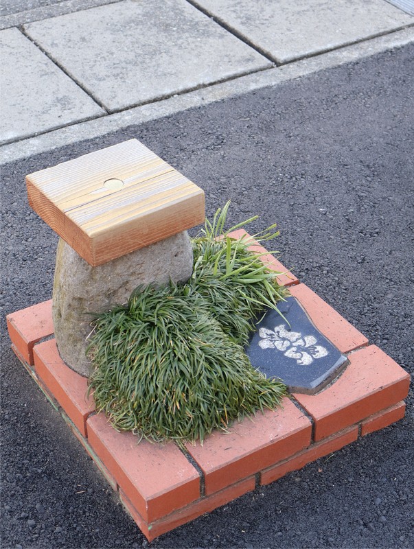0.24-square-meter green space in central Japan recognized as world's ...