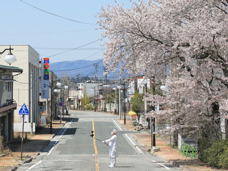 Fukushima Pref. cherry trees cut down without notification amid ...