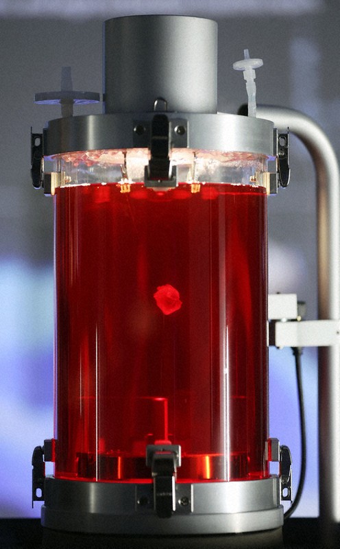 EXPO2025大阪・関西：iPS心臓、ミャク動 展示へ初公開 | 毎日新聞