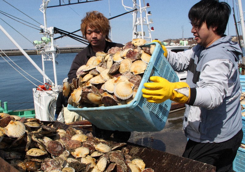 Easy Japanese news in translation: Scallop fishing starts in Nemuro Bay ...
