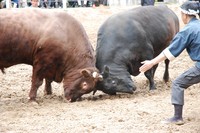 The Mainichi - Japan Daily News