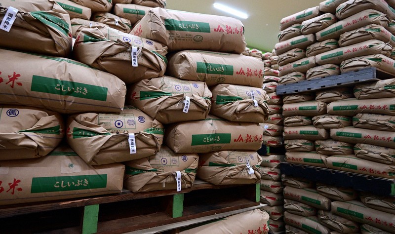 'Not bad at all': Japan expert taste-tests stockpiled rice as reserves ...