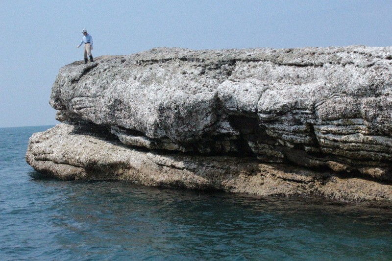 24色のペン：能登地震 隆起5メートルの現場 海底が陸地化、失われた漁港＝大阪編集局・大島秀利 ／東京 | 毎日新聞