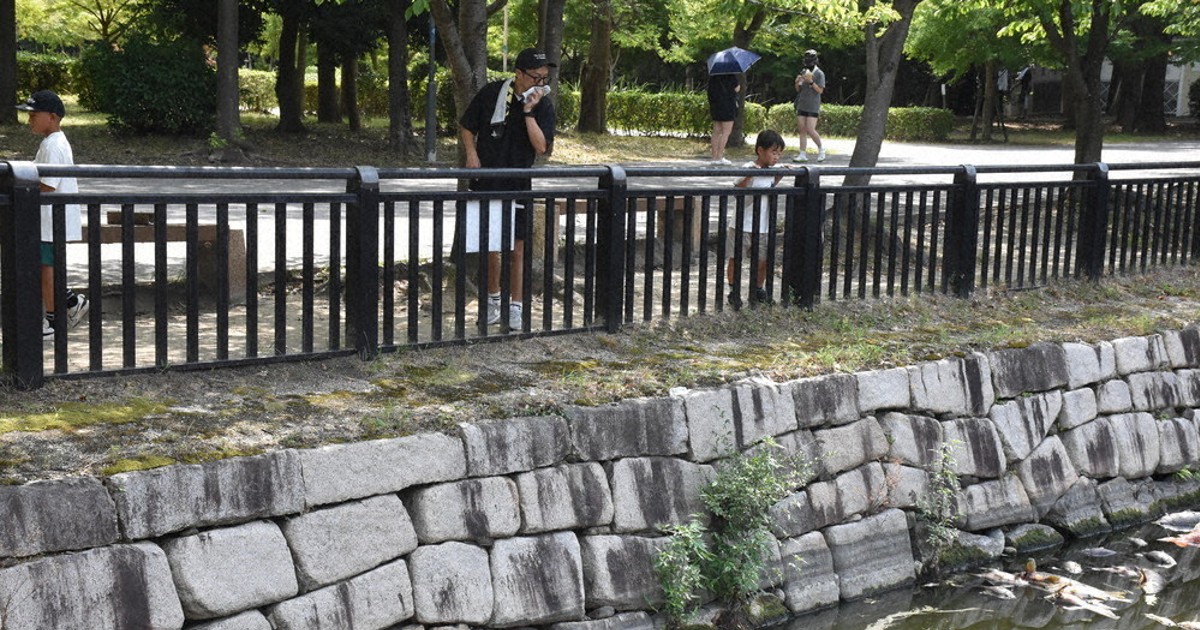 大阪城堀で魚大量死 水温上昇し酸欠か 周辺に異臭 ／大阪 | 毎日新聞