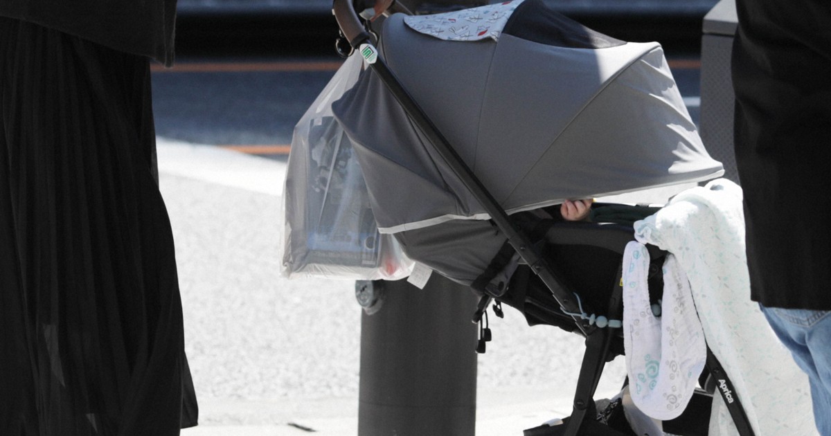 Japan study looks at which stroller orientation is hotter for babies in ...