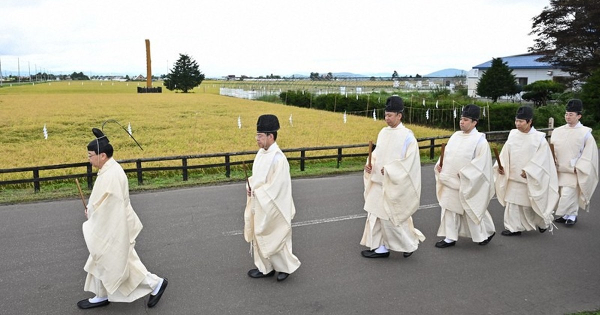 Photo Special: Rice-harvesting Shinto festival held in Hokkaido town ...