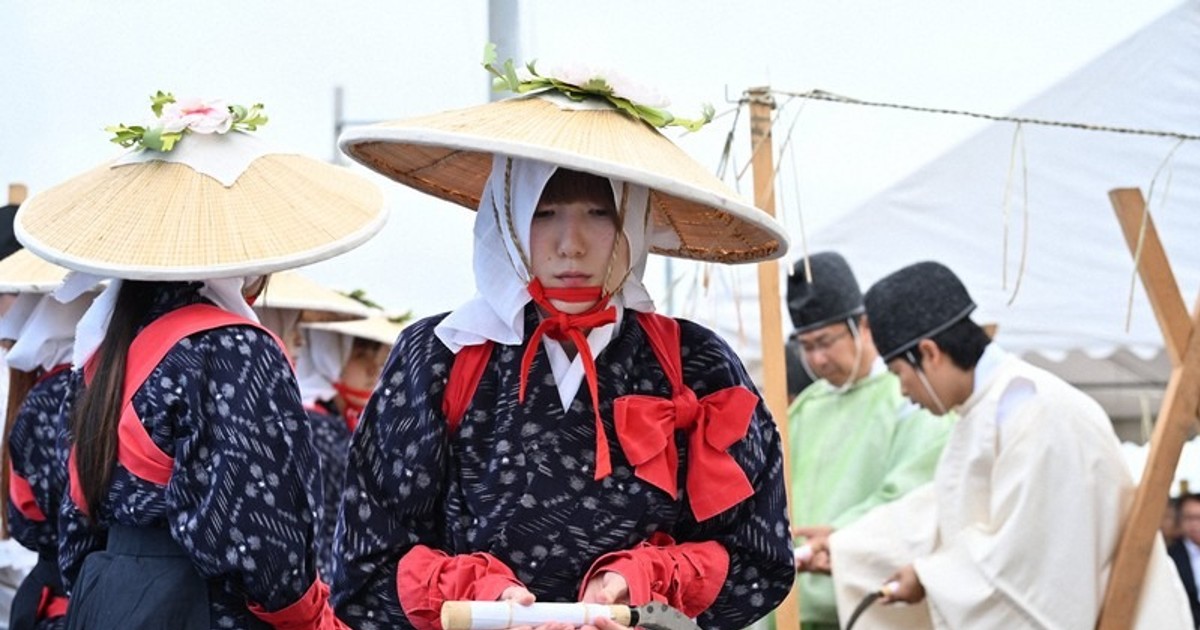 Photo Special: Rice-harvesting Shinto festival held in Hokkaido town ...
