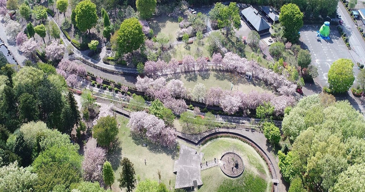 Japan Uncovered #5: Tochigi's Shimotsuke boasts lush nature, fine food ...