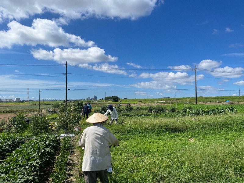 Japan Uncovered #9: Discovering Matsudo's history, flavor, and heart ...