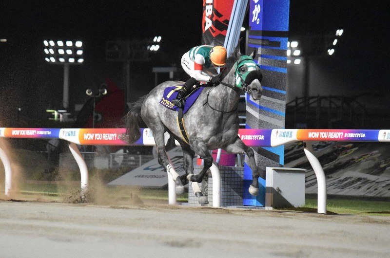 【米G1BCカップフィリー＆メアスプリント】大井所属のフェブランシェが出走取消（スポニチ） | 毎日新聞