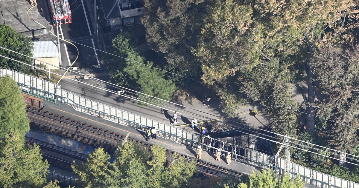 Bokep joselis johana