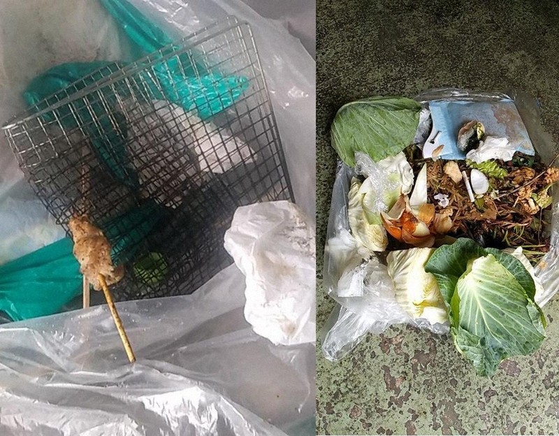 NEXCO中日本、一部PAのゴミ箱撤去 持ち込み多く SNSで賛否殺到 [写真特集2/4] | 毎日新聞