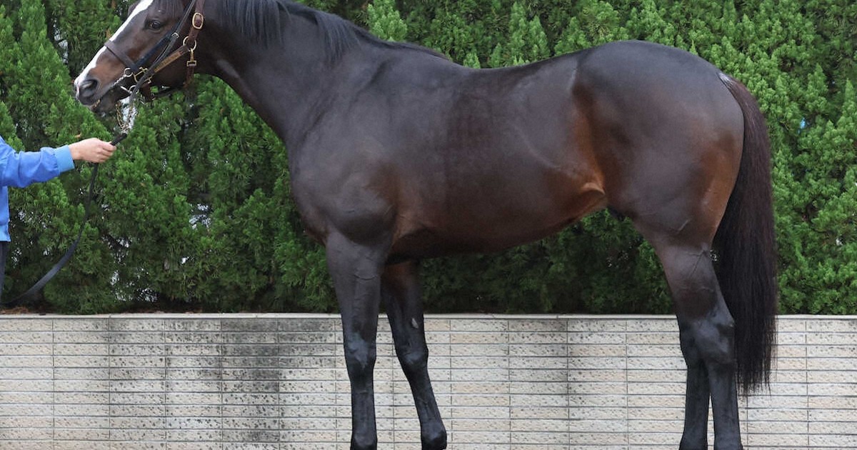 Situs bokep japanese