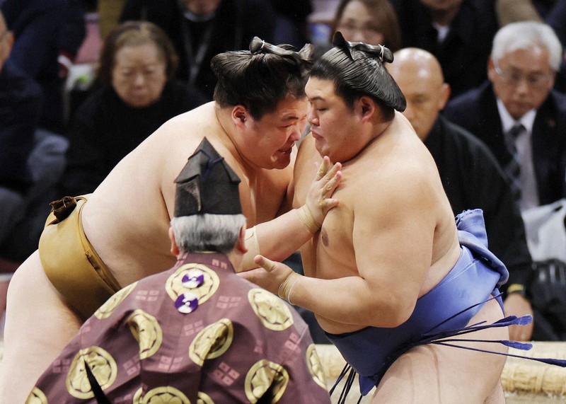 Sumo: Onosato, Hoshoryu stay tied for lead with Ukrainian star ...
