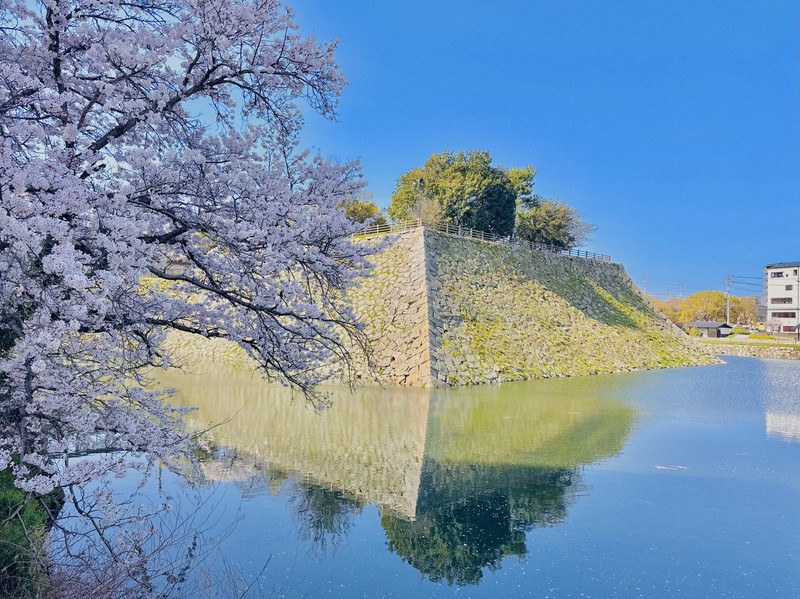 Japan Uncovered #12: From vibrant festivals to tasty puddings, Hiroshima's Mihara delights - The ...