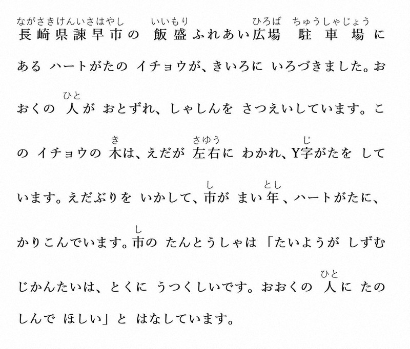 Easy Japanese news in translation: Heart-shaped ginkgo tree draws ...