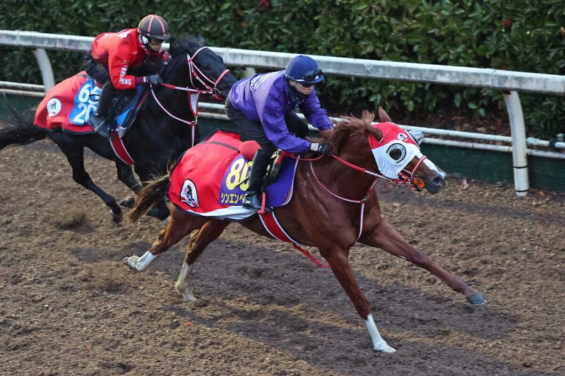 Fotos de vergas caseras xxx