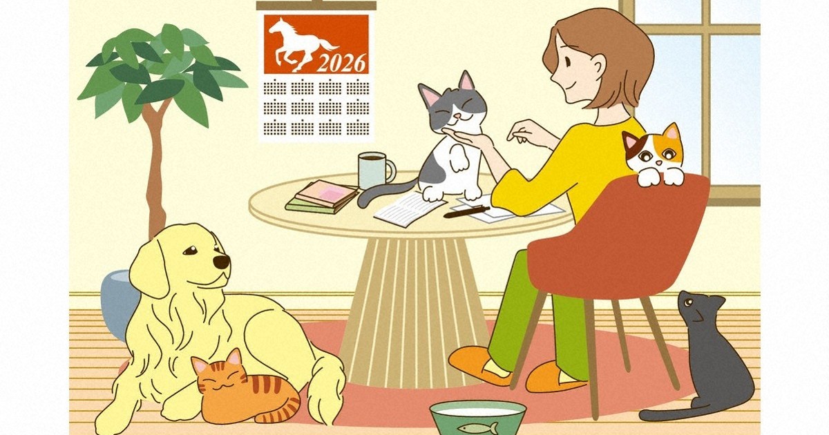 Meet your match? Spot the difference #182: Pet family - The Mainichi