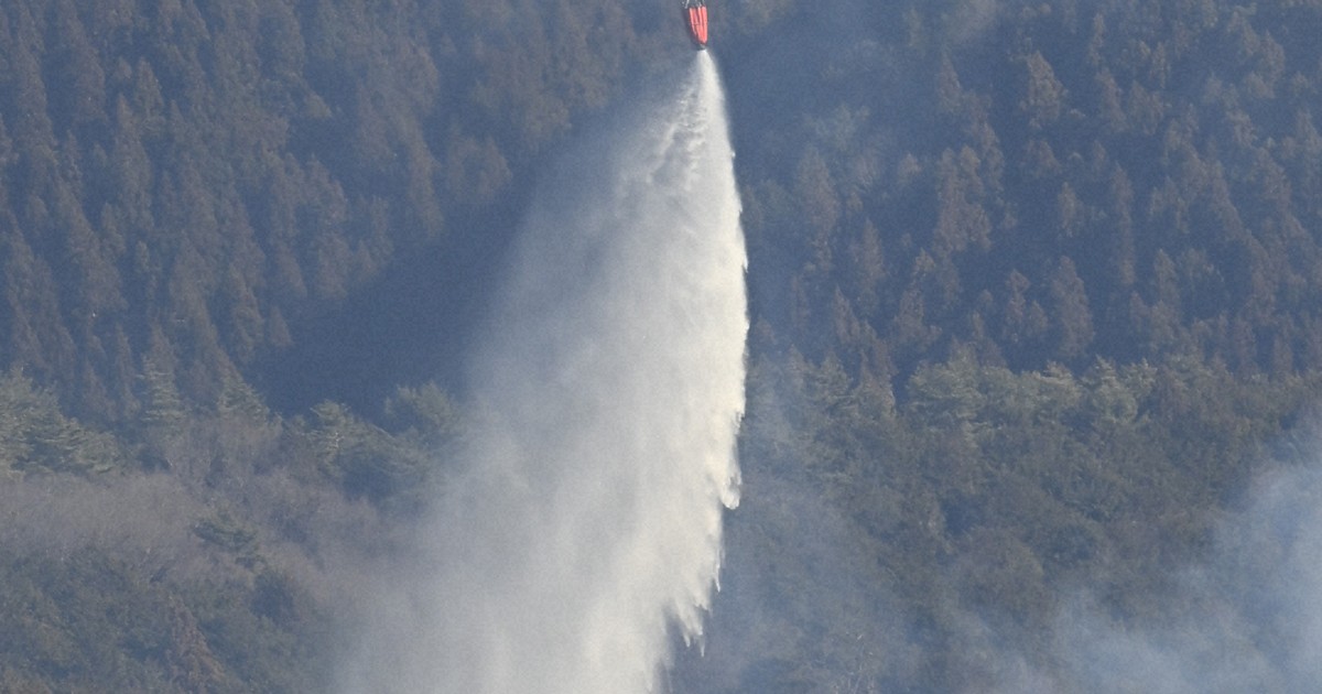 Editorial: Japan must fan public awareness to prevent forest fires ...