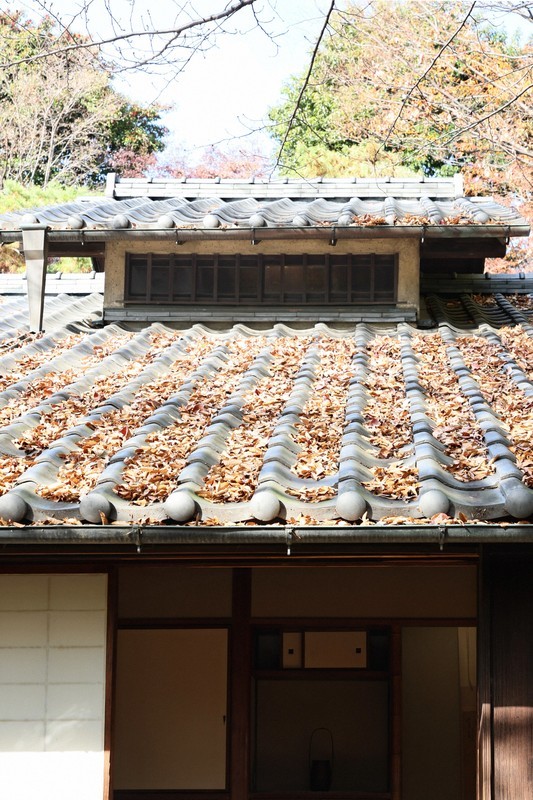 Retro Japan in Photos: Ex-residence of writer Fumiko Hayashi reflects ...
