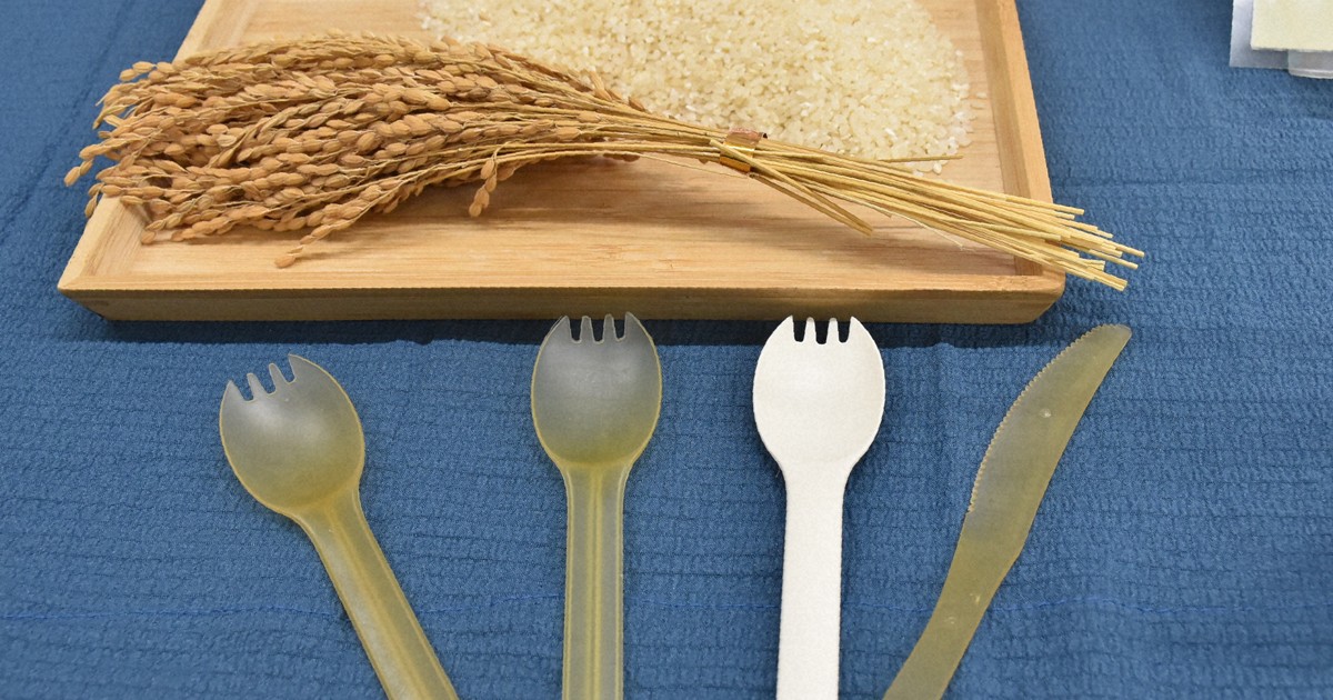 Japan's 1st spoons, knives made of waste rice to debut in effort to ...