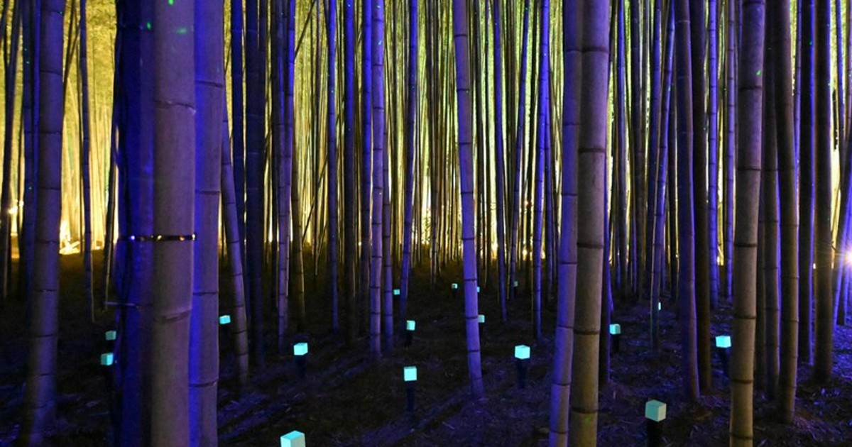 In Photos: 'Demon Slayer' characters and a muzzle that put bamboo in ...