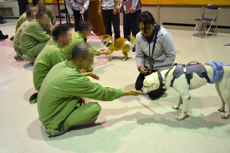 Japan to expand inmate rehabilitation program using rescue dogs ...