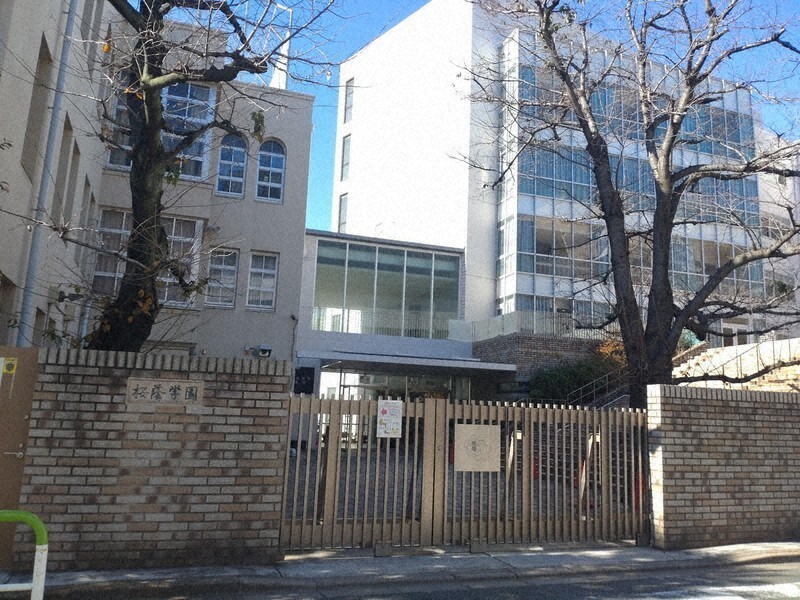 Tokyo court nixes suit by elite girls' school over high-rise condo plan ...