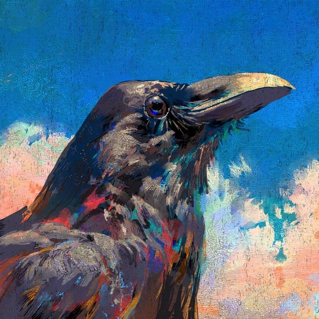 オリコンニュース：米津玄師、NHKサッカーテーマ「烏」自身描き下ろしのジャケット公開 | 毎日新聞